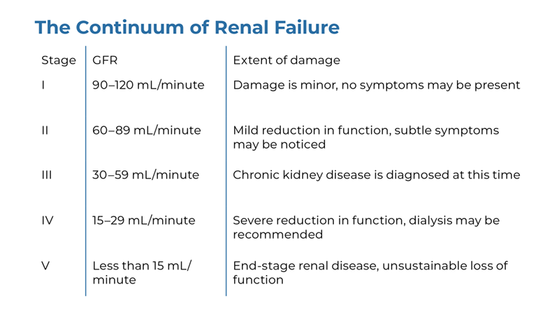 Renal Failure, Dialysis, and Kidney Transplants